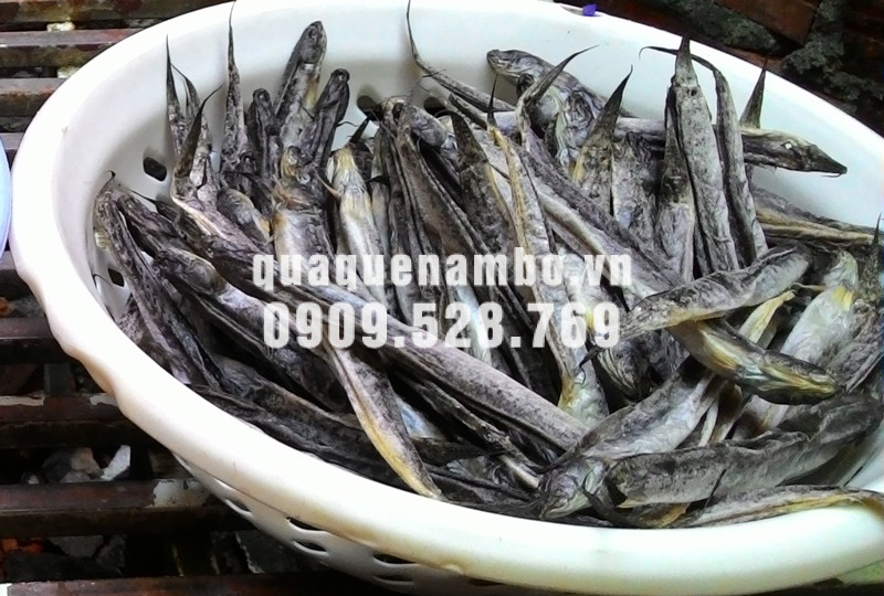 9 loại cá đặc sản miền Tây nhất định phải thử - Quà Quê Nam Bộ